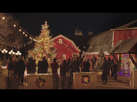 The 100 New Christmas Movies to Watch for This Year