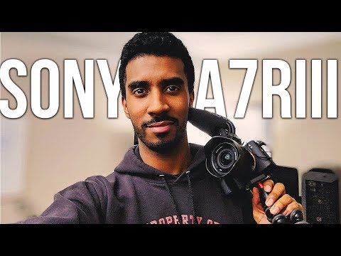 Sony A7R iii Review: A Daily Vlogger's Perspective (2019)