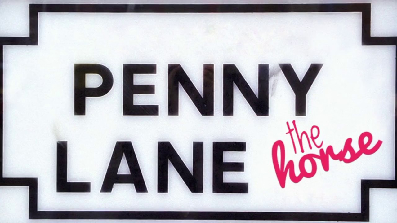 Penny Lane the horse