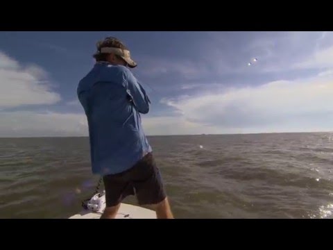 Need a Big NET The Cabela's Fold and Stow Landing Net