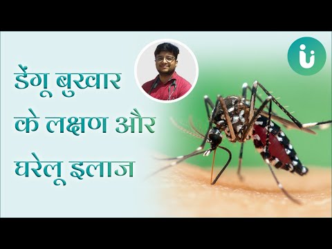 डेंगू बुखार के लक्षण, इलाज और घरेलू उपाय | Dengue fever symptoms, treatment and home remedies Hindi