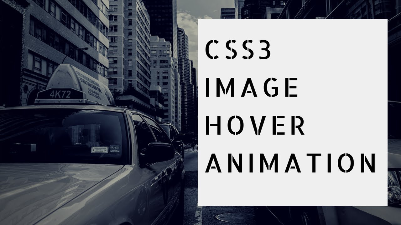 CSS3 Image Hover Animation Tutorial | CSS Image Hover Effect