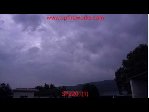 SP2201(1)