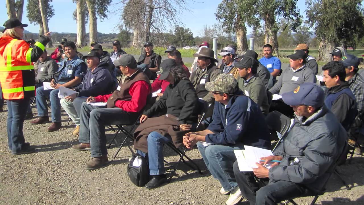 Napa Valley Grapegrowers Farmworker Foundation