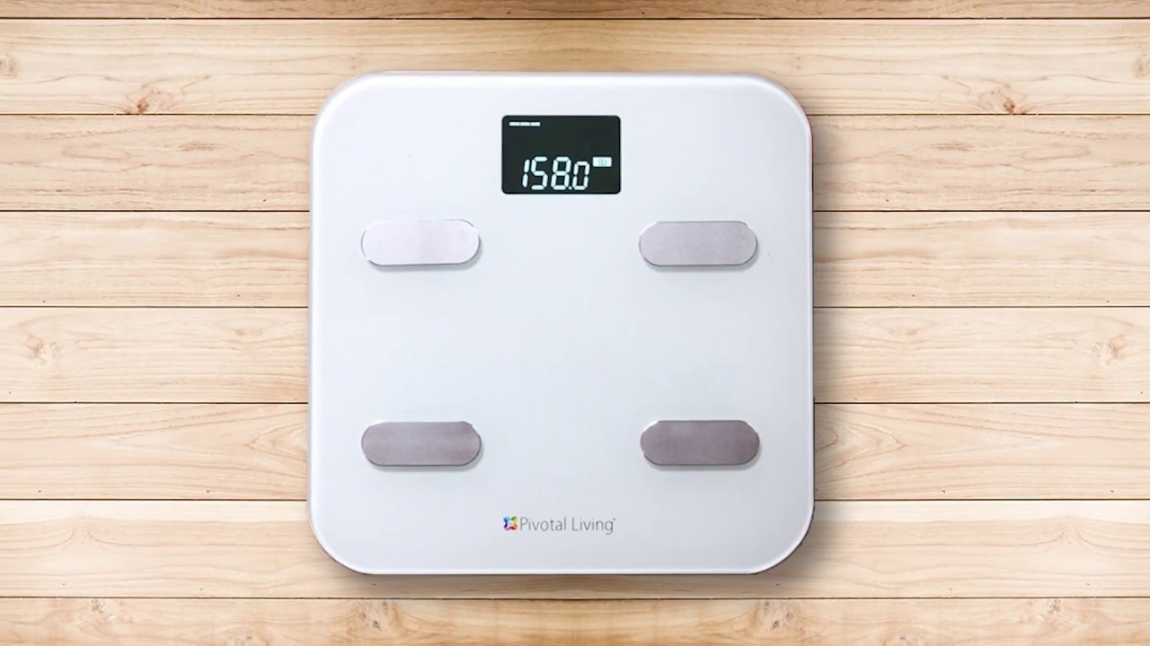 Scale Setup Step by Step