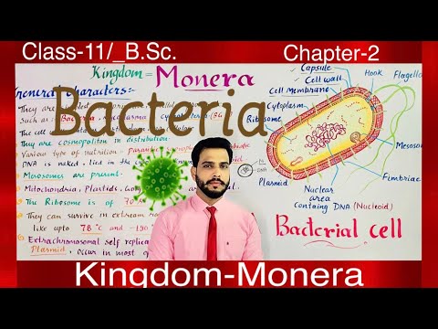 Kingdom- Monera( рдореЛрдиреЗрд░рд╛)(Bacteria) (рдЬреАрд╡рд╛рдгреБ) Biological Classification.class-11/B.Sc. Chapter-2