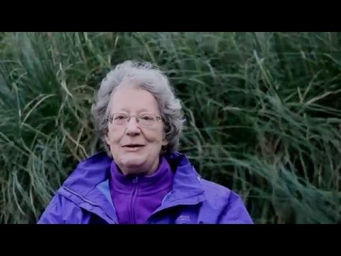 Sally Golding | Palmers Green Tales