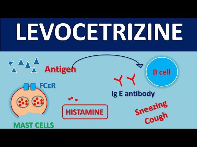 Allergy Relief Tablets - Rituximab 500 Mg 50ml, Rituximab Manufacturer ...
