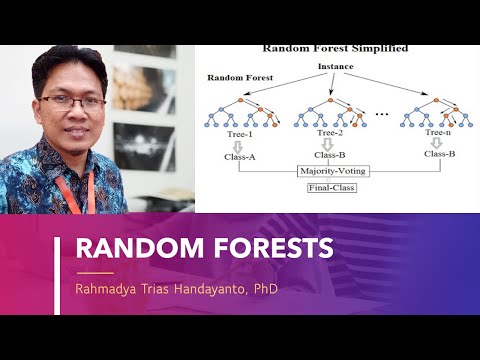 Random Forests dengan Google Colab Python – Rahmadya Trias Handayanto