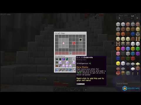 Endermite pet - Crafting - Hypixel Skyblock