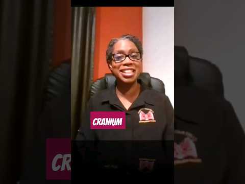 Cranium (Definition) SYS Video Dictionary