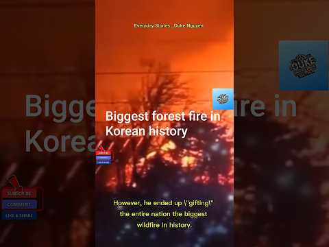 unbelievable cause of the largest forest fire in Korean history @dukenow39