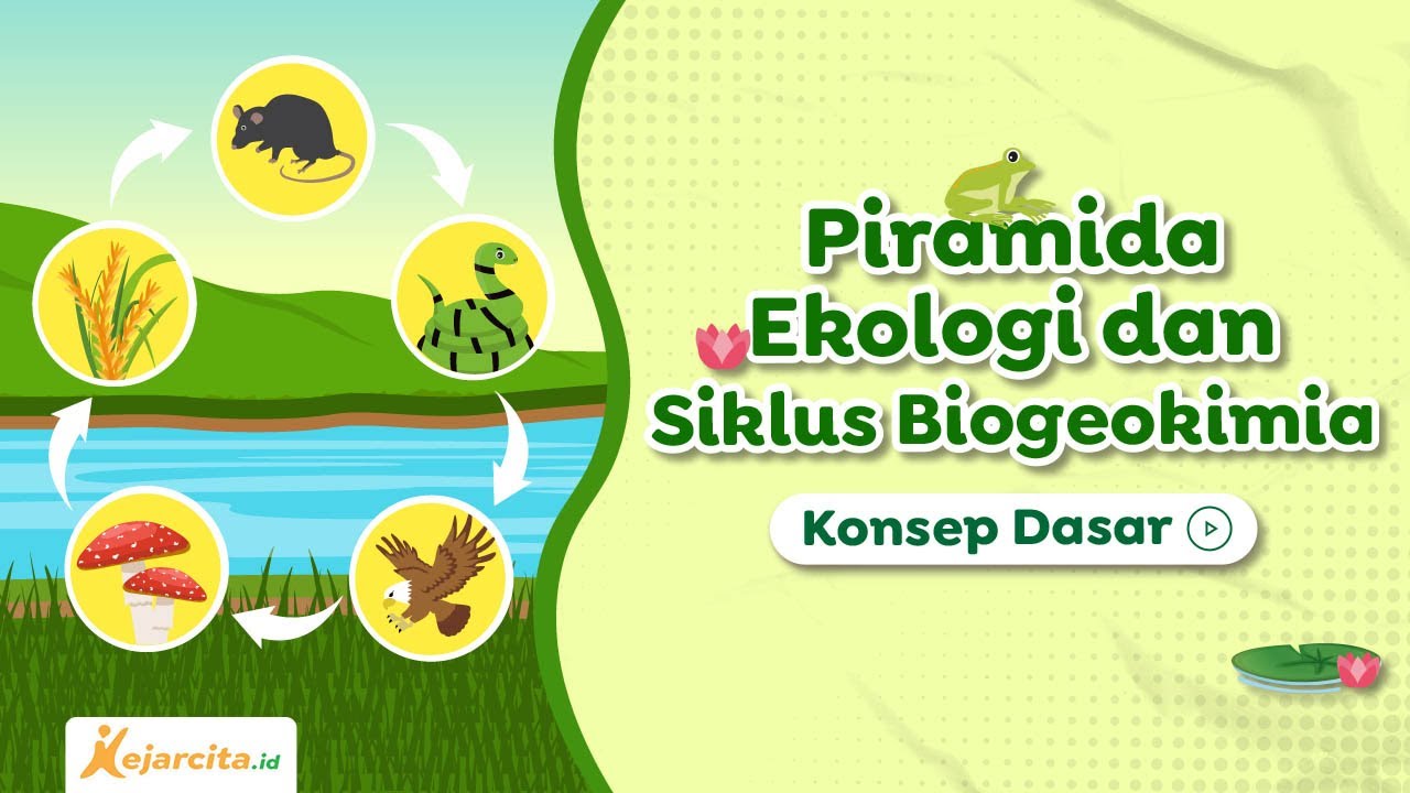 Piramida Ekologi & Siklus Biogeokimia | Biologi SMA