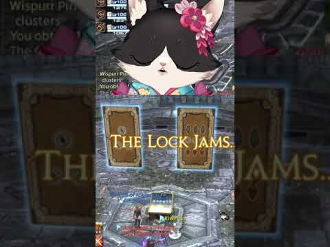 I can't read.... | #ffxiv #ff14 #finalfantasy #finalfantasy14 #finalfantasyxiv #vtuber #cat