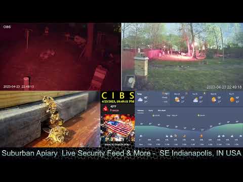 23/4/16 - Suburban Back Yard Bee Hive Security Feed & More - Indianapolis, IN