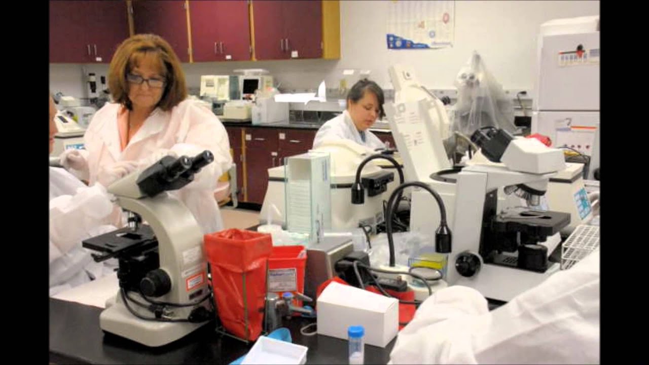 AUM Medical and Clinical Laboratory Sciences