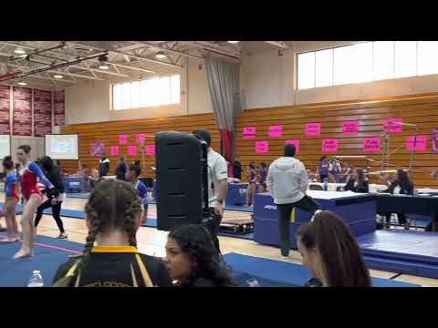 Linley Buendel | Level 3 Vault | 2nd Place | 9.850