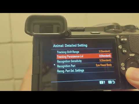 Sony A6700: Advanced target tracking focus settings (ILCE6700)
