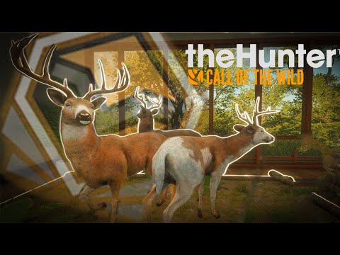 Cotw diamond chart 2021 - bingogasm