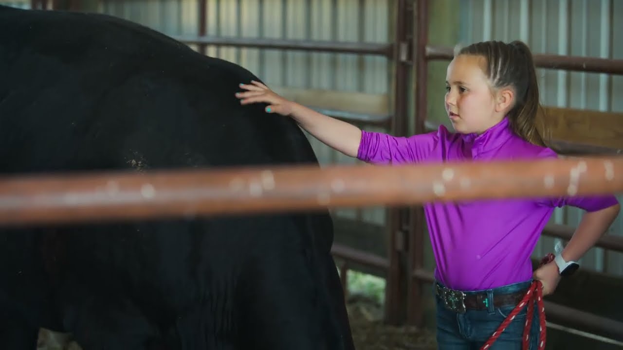 Who Is Agoro Carbon? - Agoro Carbon Alliance