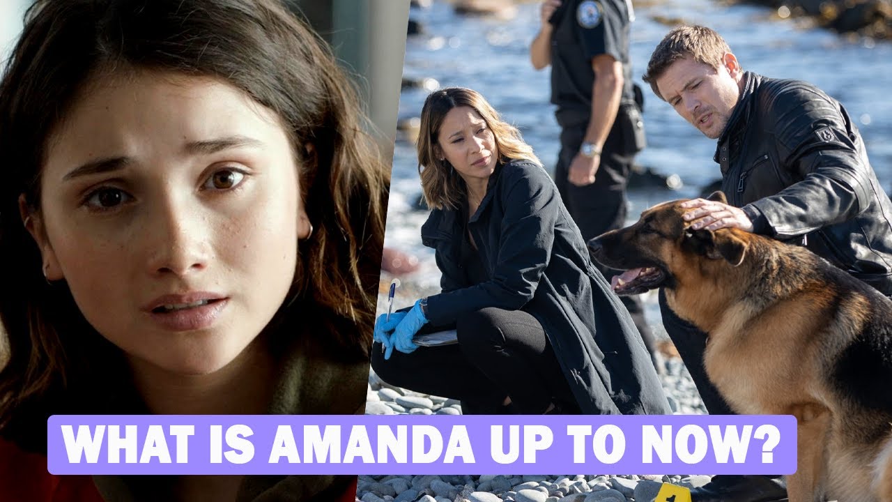 Hudson & Rex: Where is Amanda Arcuri Now? Her Relationship Update