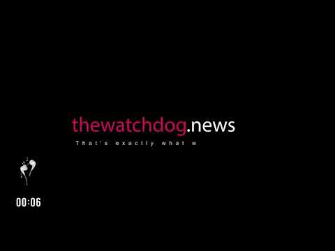 thewatchdog.news