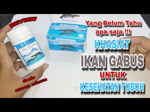 Review Manfaat Pro Albumin Kapsul Ekstrak Ikan Gabus untuk Kesehatan dan Penyembuhan Luka Operasi