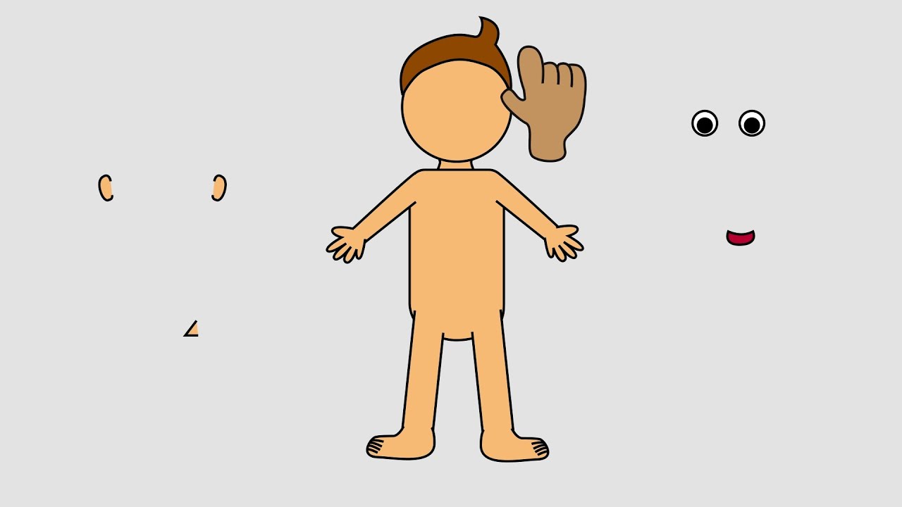 Partes del cuerpo para niños |Armando las partes|