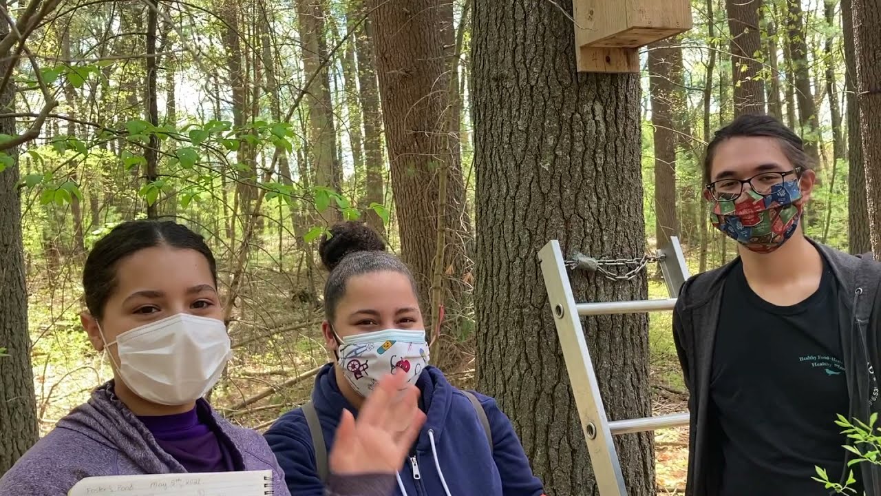 Checking Your Flying Squirrel Nest Box