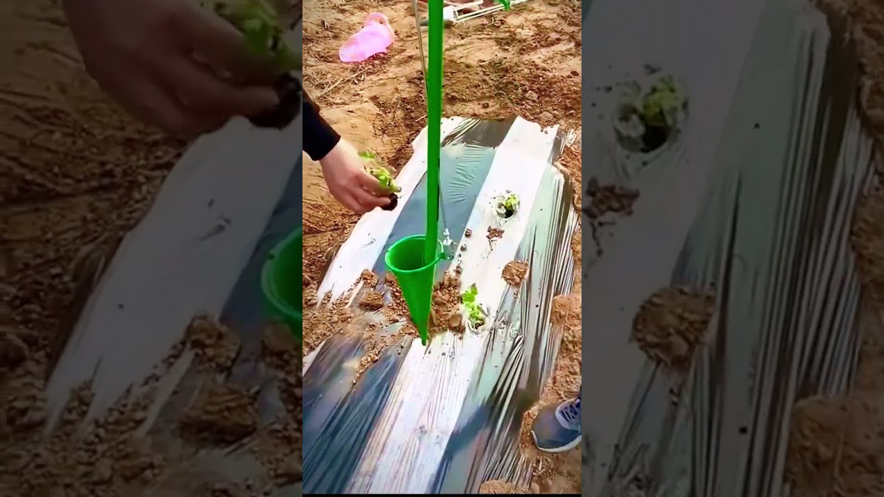 easy and fast seedling planting tool #shorts