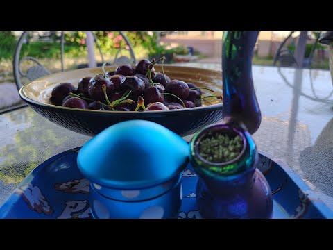 Trump bails on the G7 to poke Iran with a stick | Night Weed News Sesh