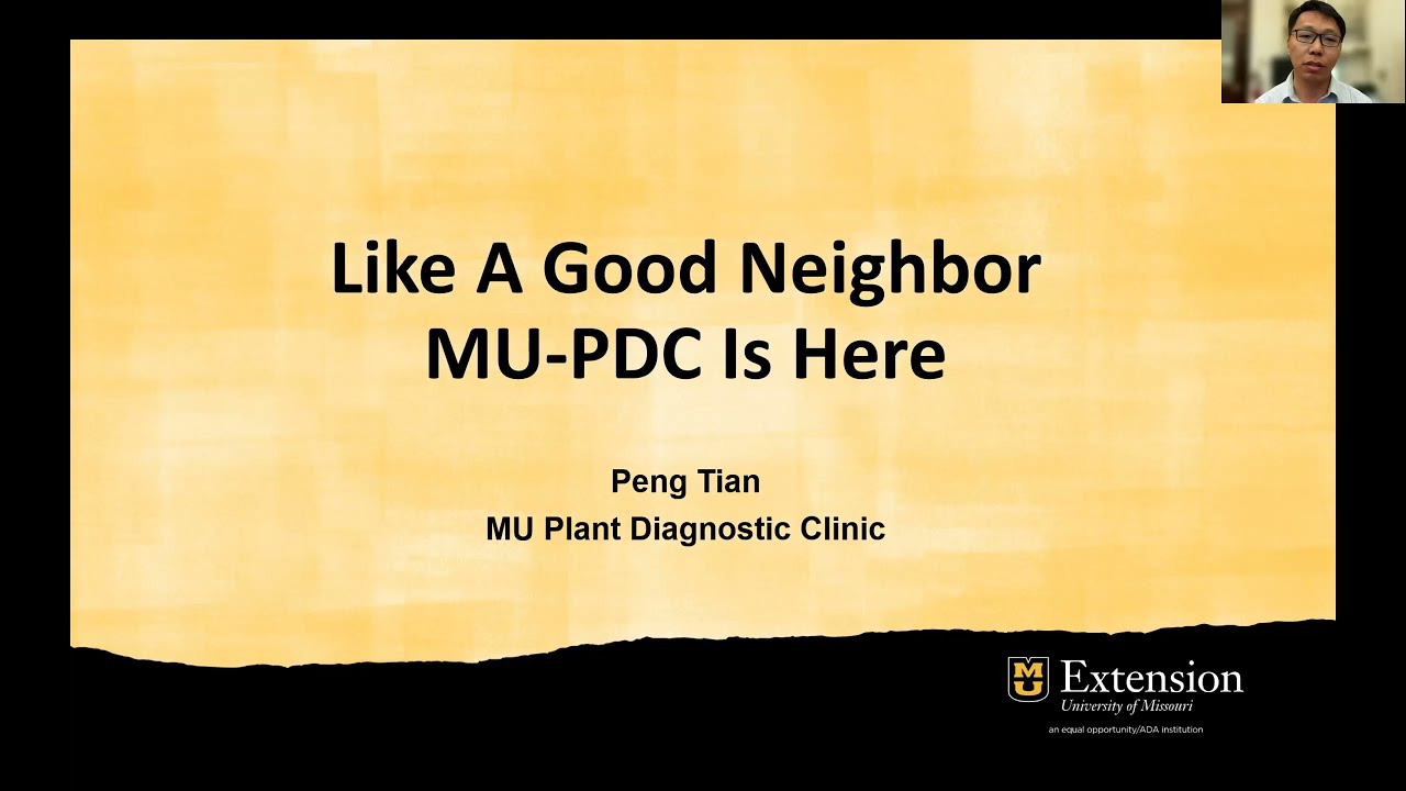 Sample Submission Guidelines of MU Plant Diagnostic Clinic (MU-PDC)