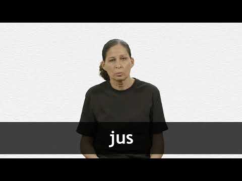 English Translation of “JUS” | Collins French-English Dictionary