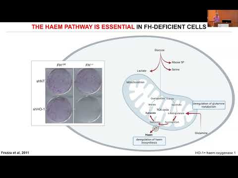 CTSI Distinguished Speaker Series I Christian Frezza