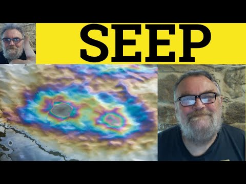 šµ Seep Meaning - Seepage Examples - Seeping Definition - Seep Explained - C2 Vocabulary