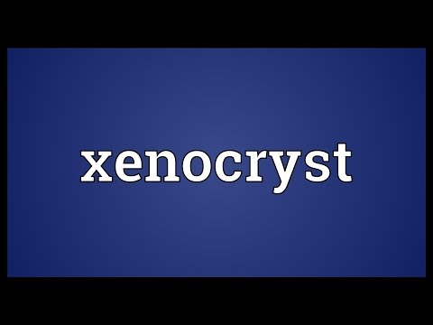 Xenocryst Meaning