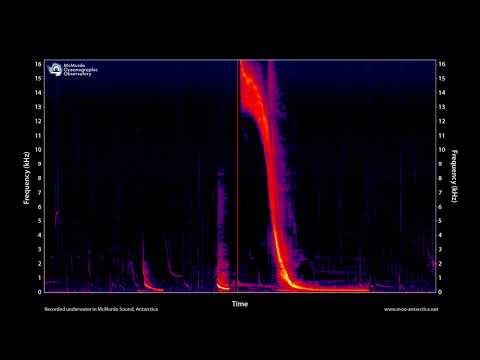 Extended CLICK5… CLICKB8: Deep Endurance… – Library of Libraries