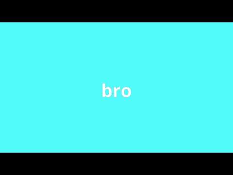 what is the meaning of bro