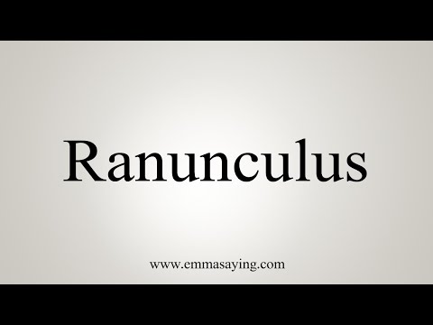 How To Say Ranunculus
