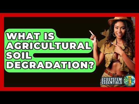 What Is Agricultural Soil Degradation? - Ecosystem Essentials