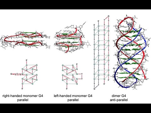 Interview of Medicine Inventor, Paula J. Bates – Nicholas Dwork's Blog