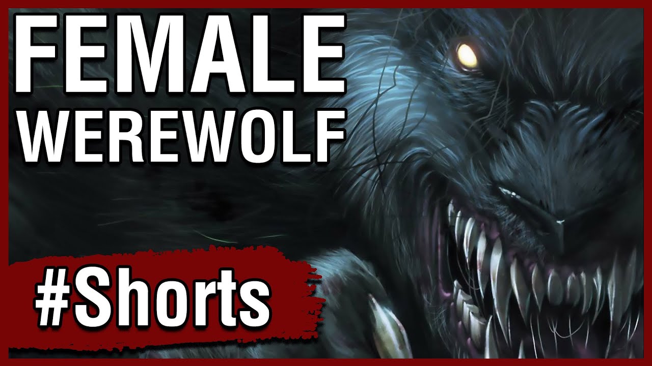 D&D Story (Short): Female Werewolf And Chocolate #Shorts