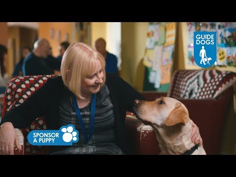 Sepsis survivor features in Guide Dog UK advert – Surviving Sepsis