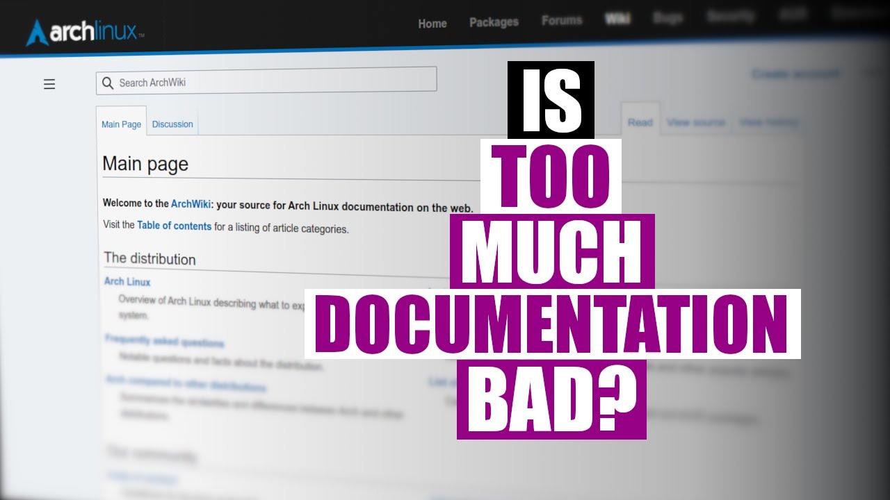 Is Too Much Documentation Bad? (Is No Documentation OK?)