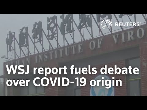 WSJ report fuels debate over COVID-19 origin