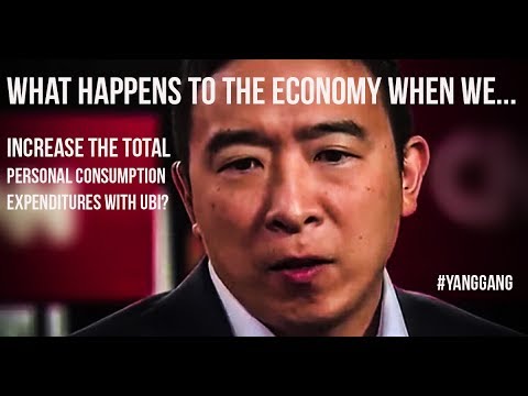 Increasing Total Personal Consumption Expenditures with UBI? | Andrew Yang | Econ Major Explains