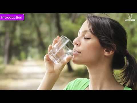 Water | Science for Kids | Grade 3 | Periwinkle