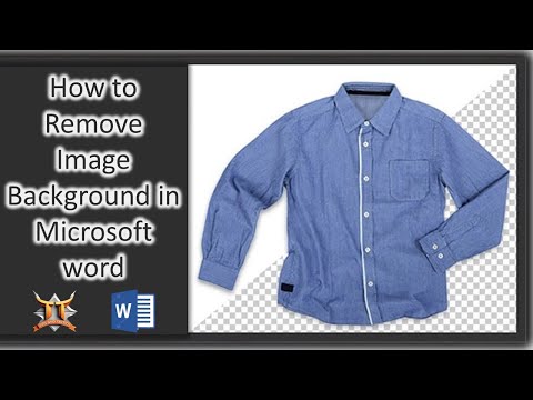 Remove Background from Images: The Fastest Methods in Microsoft word
