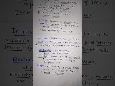 Composition of Gastric Juice. PHYSIOLOGY BSc Nursing