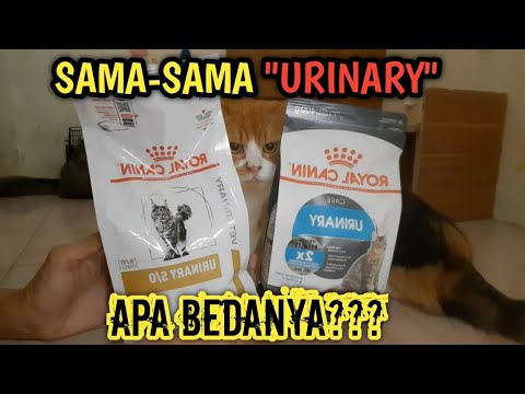 PERBEDAAN KEGUNAAN ROYAL CANIN URINARY CARE DENGAN ROYAL CANIN URINARU S/O